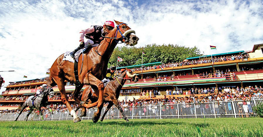 Turf News : Gambling Regulatory Authority Amendment Bill : le MTC ...