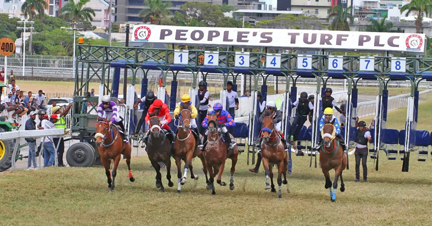 Hippisme – Saison 2023 : la vie après le MTC Hippisme – Saison 2023 : la vie après le MTC