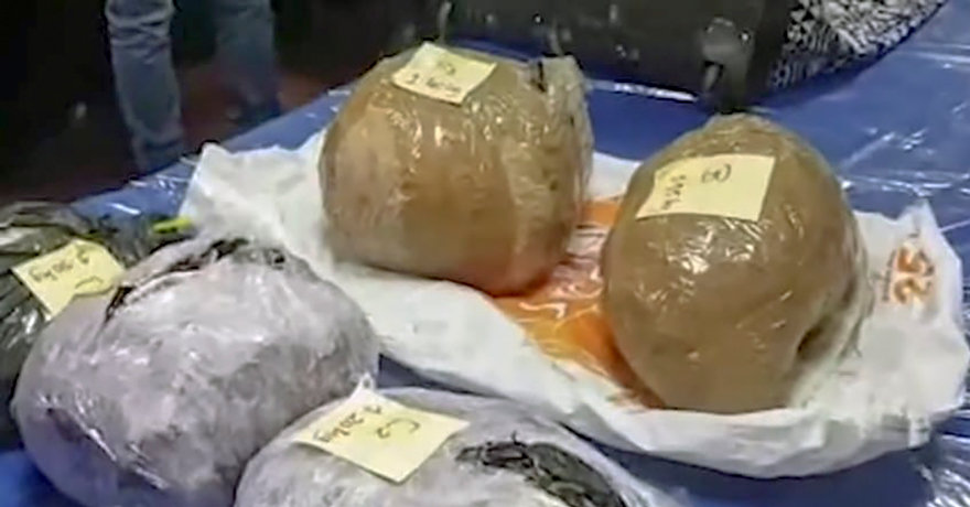 Saisie de 58 kilos de cannabis lors d'une opération de la Striking Team : sept suspects arrêtés ...